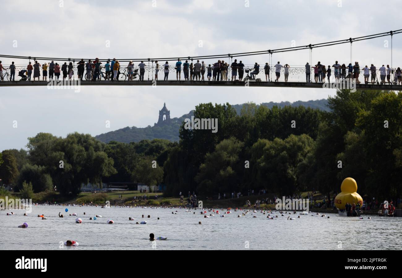 Minden, Germany. 20th Aug, 2022. Swimmers swimming in the Weser ...