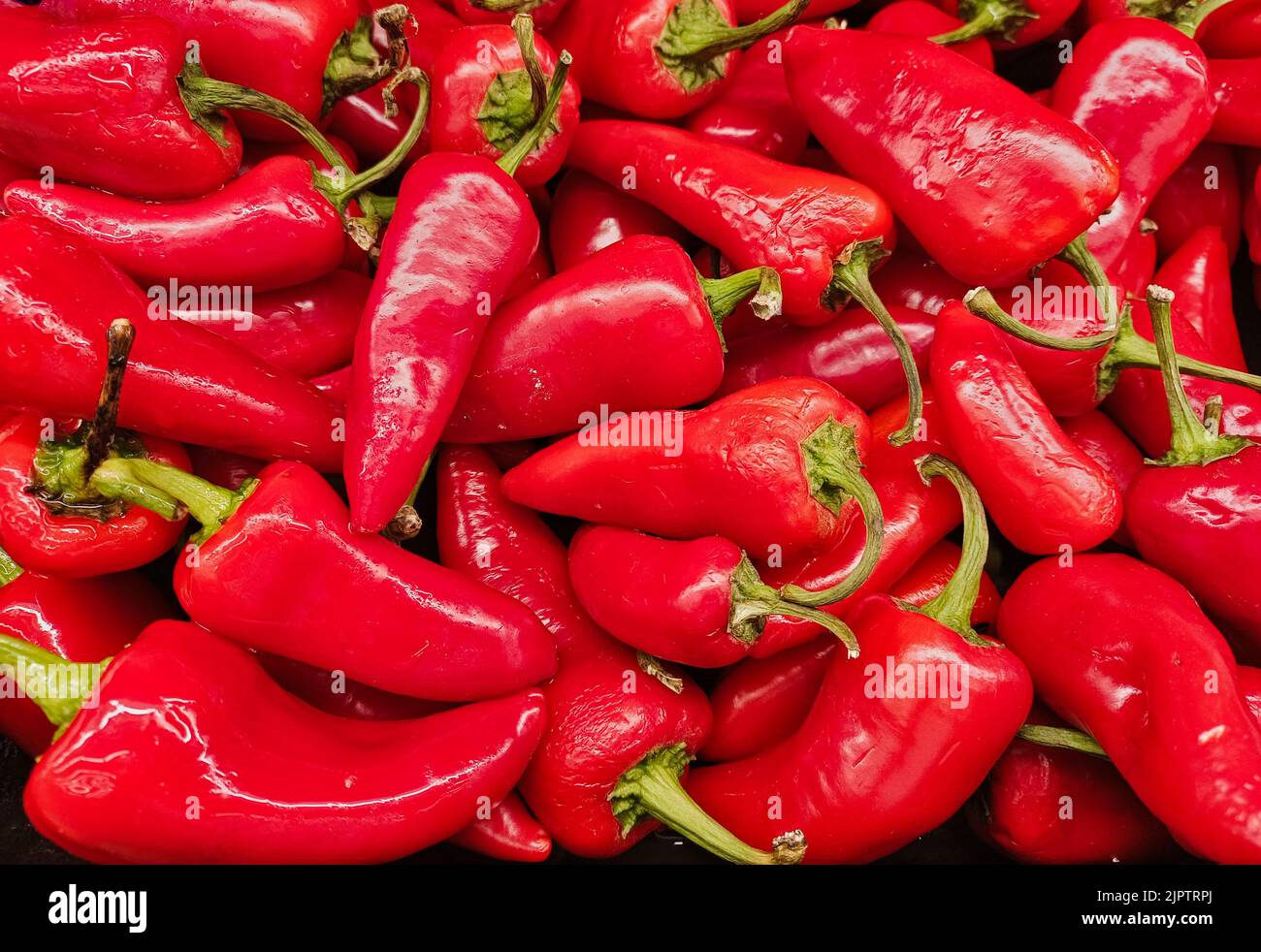 Red Fresno Chili Peppers on a vegetable market stand. Cultivar of ...