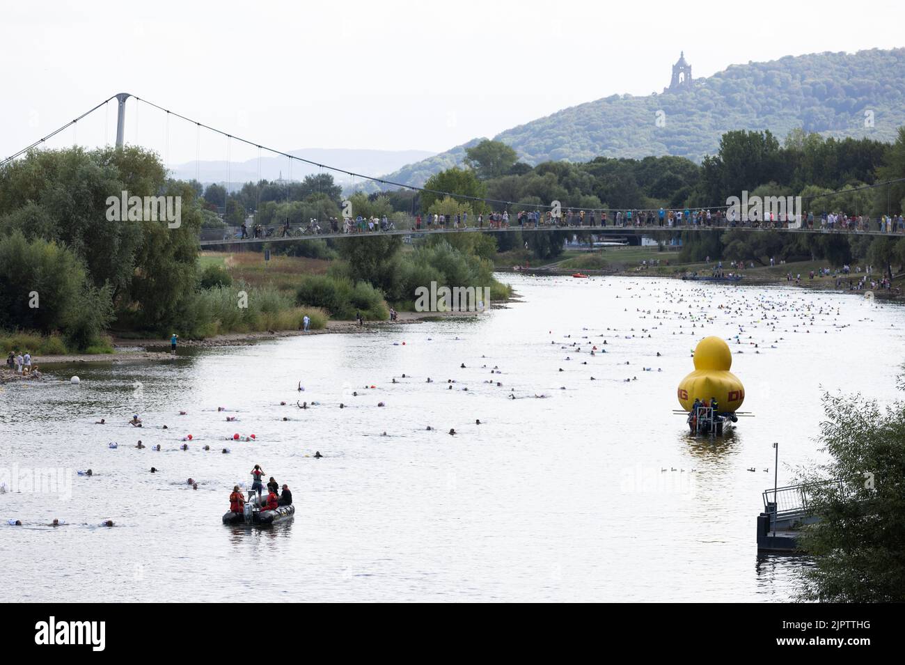 Minden, Germany. 20th Aug, 2022. Swimmers swimming in the Weser ...