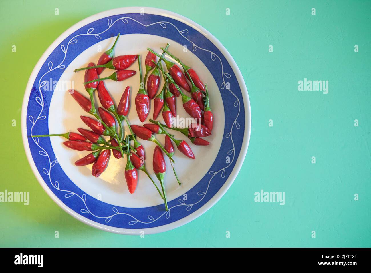 Plate with piri-piri chili pepper. Studio shot with natural light ...