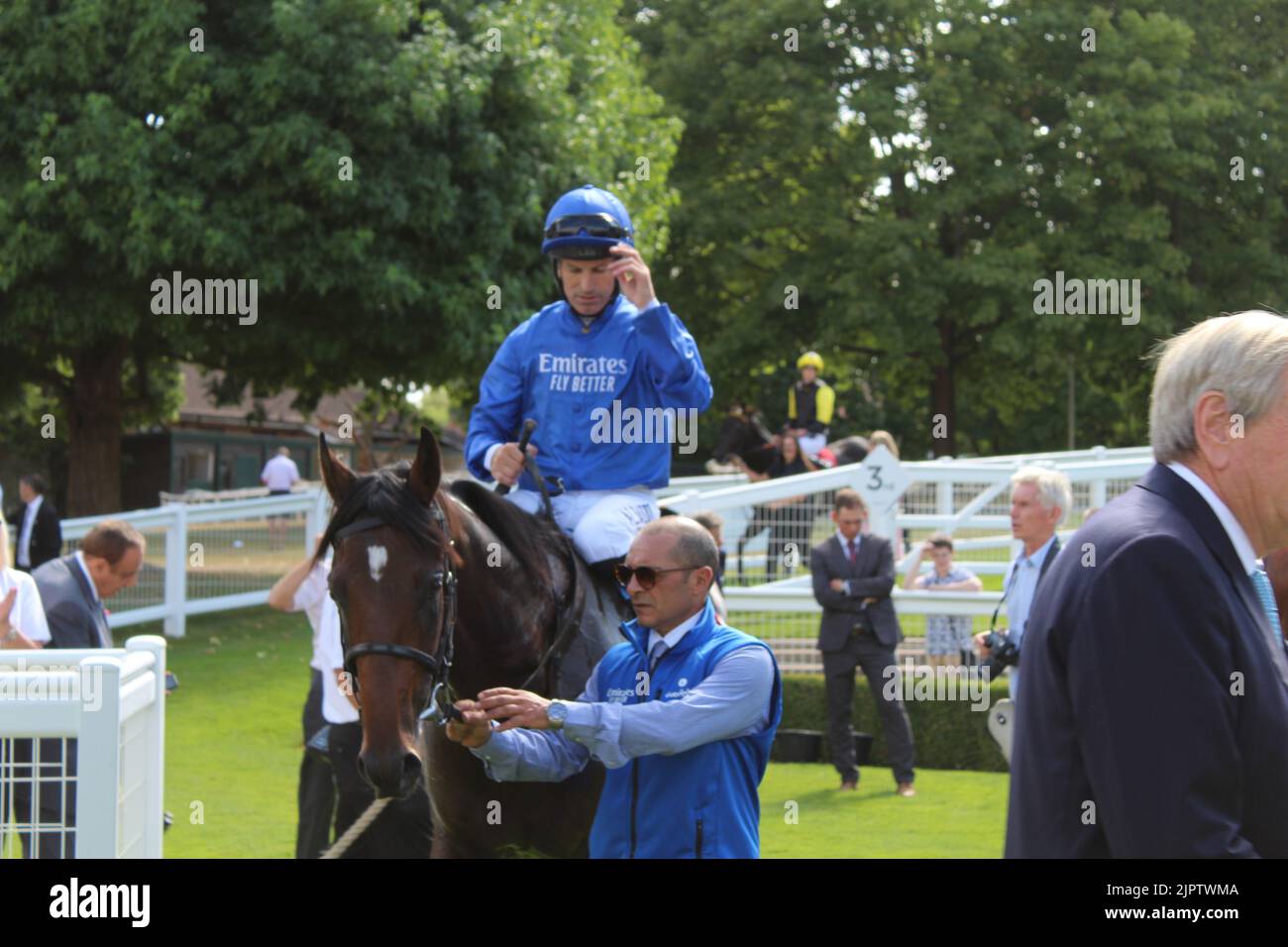 Silver knott horse hi-res stock photography and images - Alamy