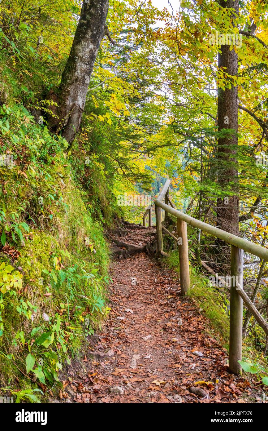 Footpath through rural park hi-res stock photography and images - Alamy