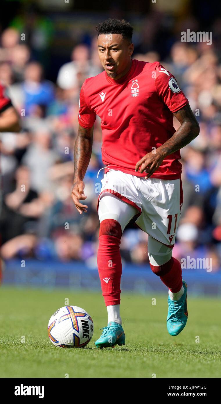 Lingard forest hi-res stock photography and images - Alamy