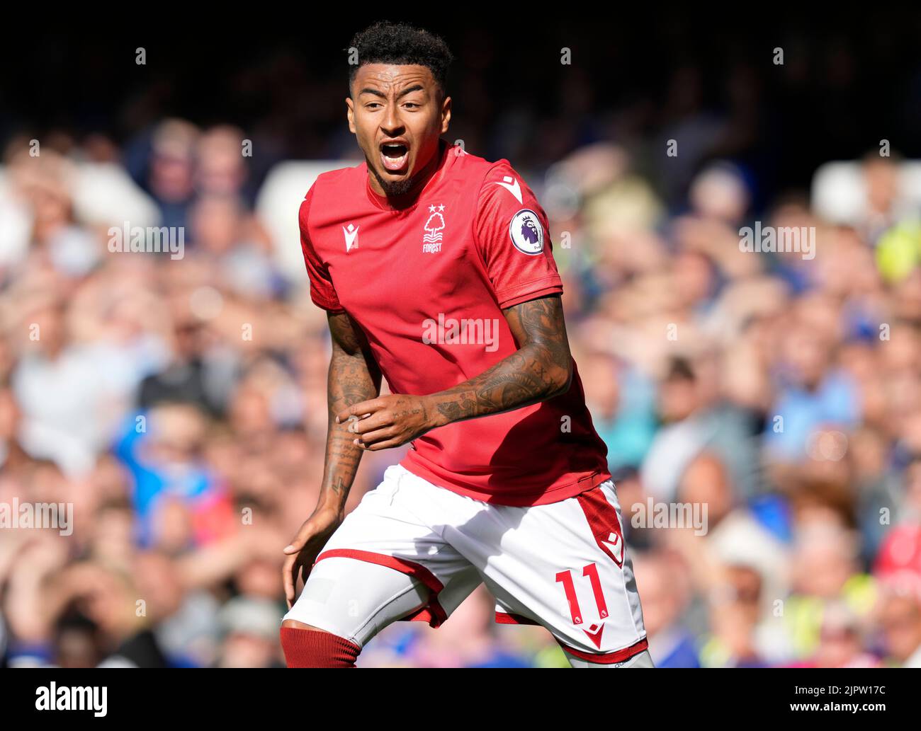 Jesse lingard forest hi-res stock photography and images - Alamy