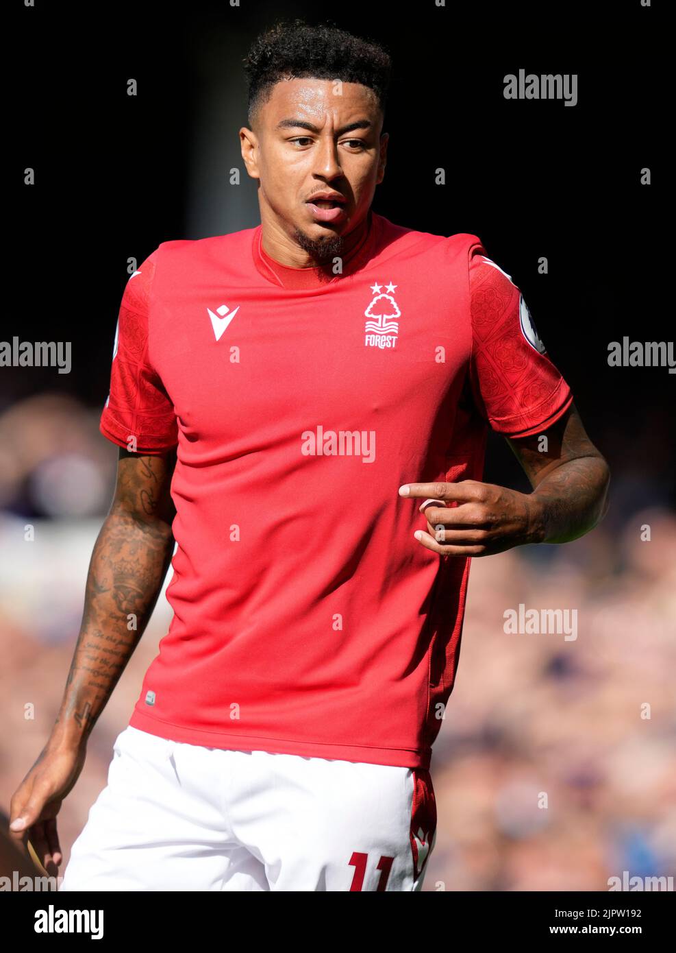 Jesse lingard forest hi-res stock photography and images - Alamy