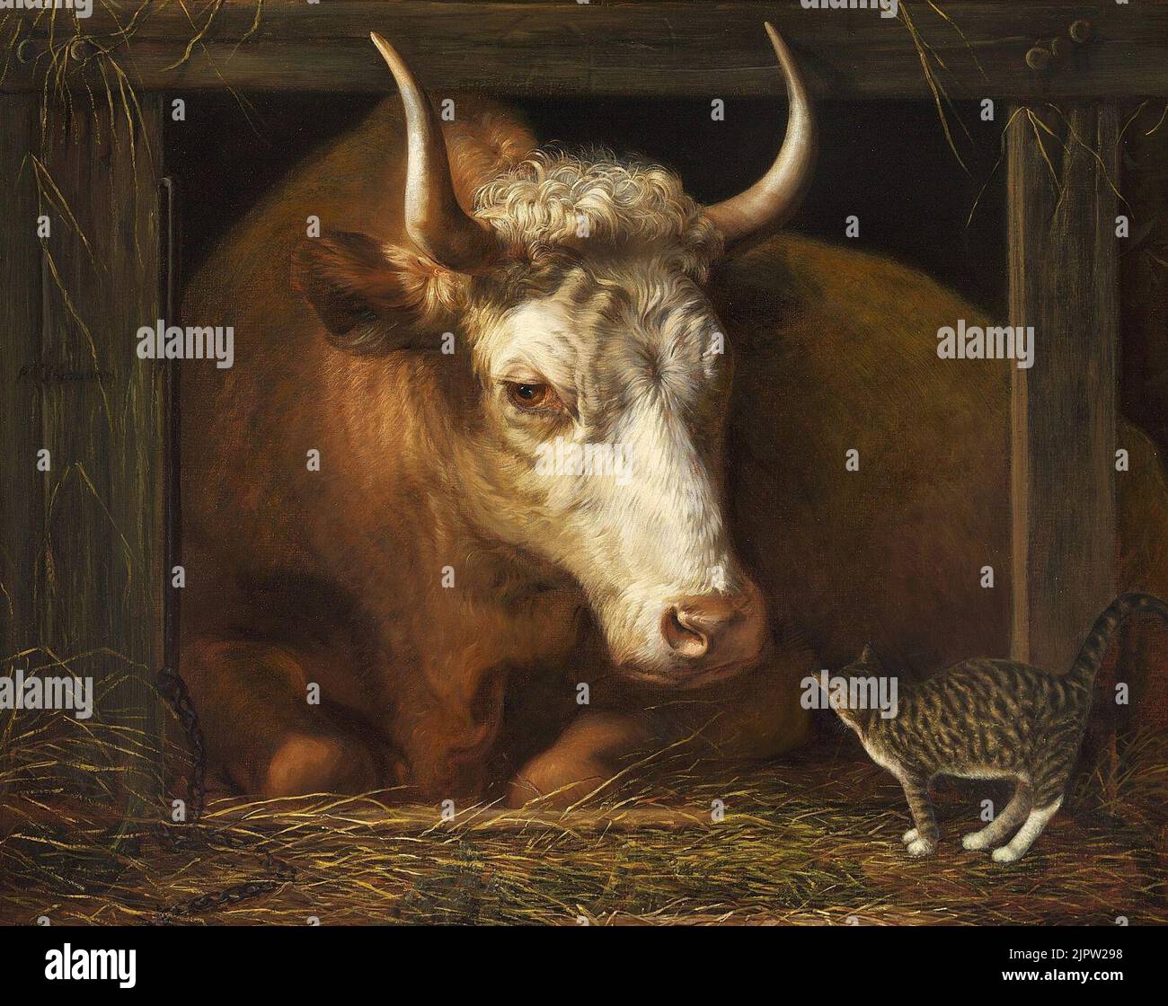 Fritz Thomsen - “To venner”. En okse og en kat i en stald Stock Photo ...
