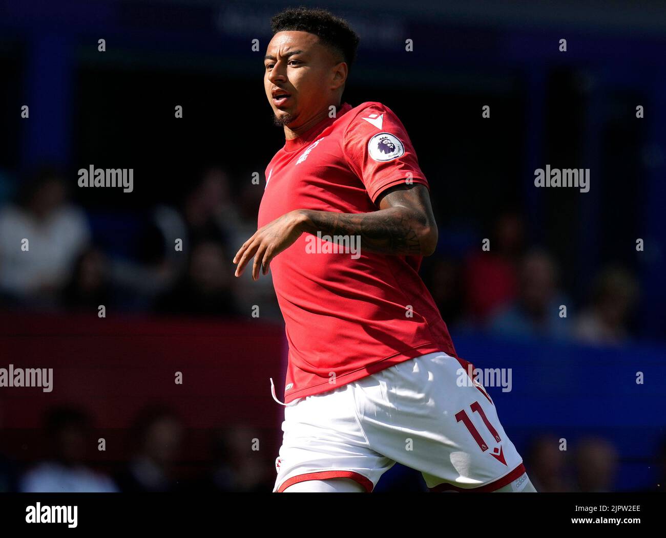 Jesse lingard forest hi-res stock photography and images - Alamy