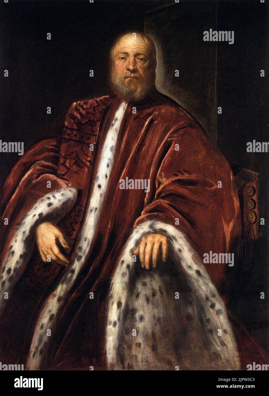 Jacopo Tintoretto - Portrait of a Procurator of St Mark's Stock Photo ...