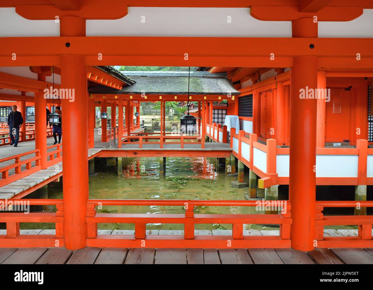Itsukushima-jinja is a Shinto shrine in Miyajima island, Hatsukaichi ...