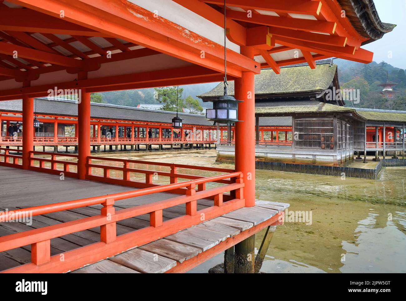 Itsukushima-jinja is a Shinto shrine in Miyajima island, Hatsukaichi ...