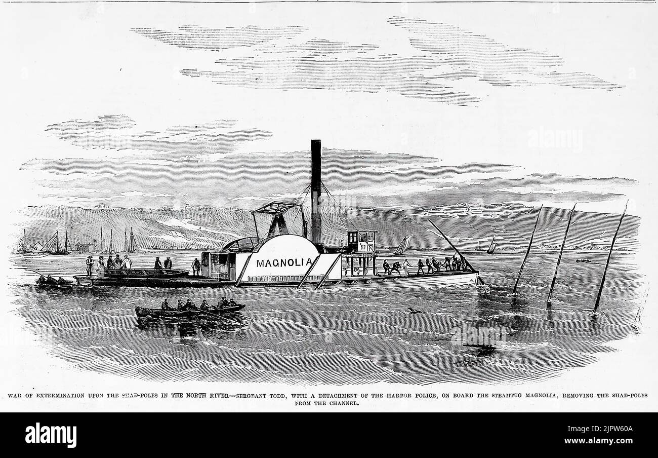 War of extermination upon the shad-poles in the North River (Hudson ...