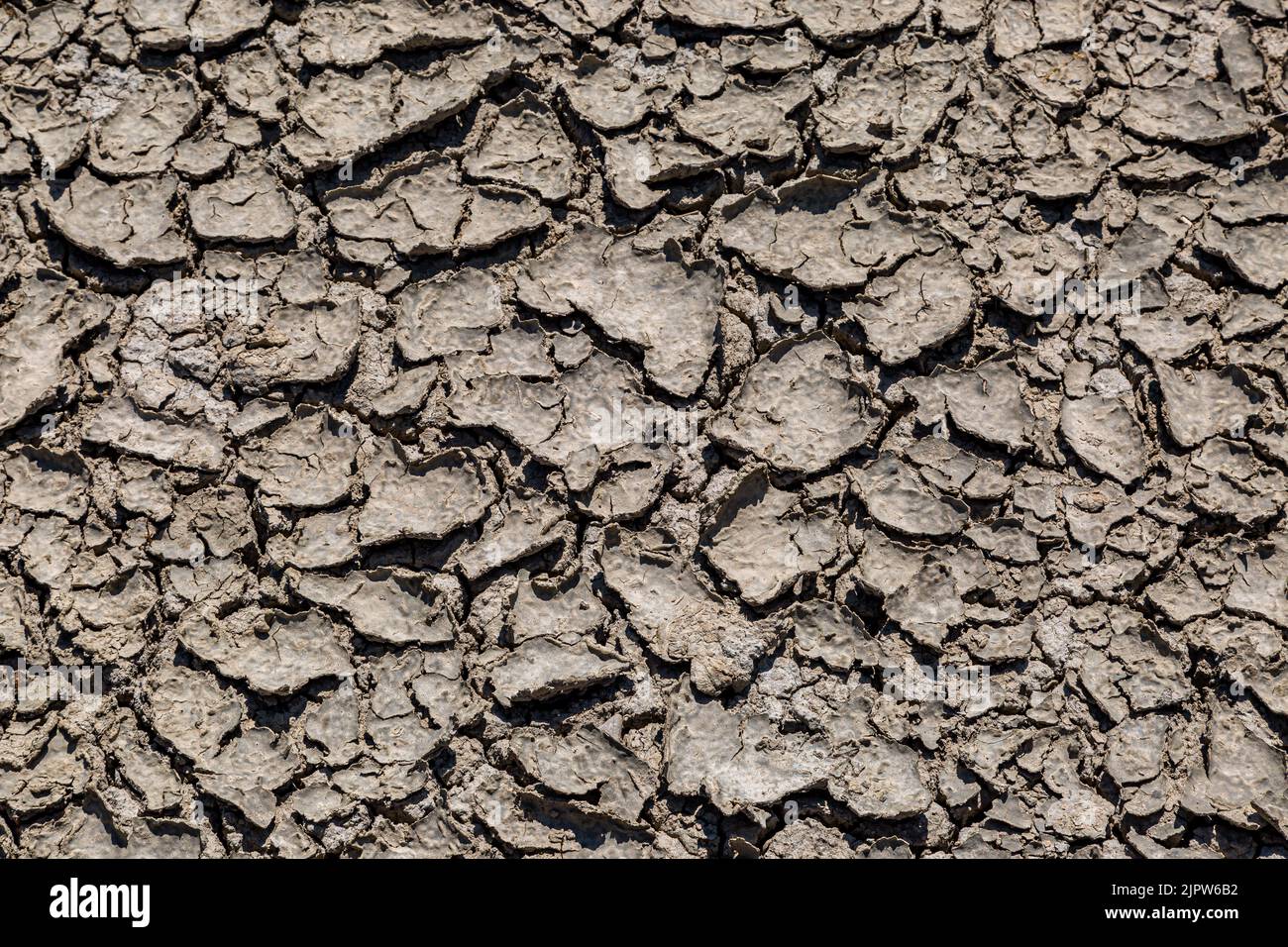 Soil cracked through dryness in a drought Stock Photo - Alamy