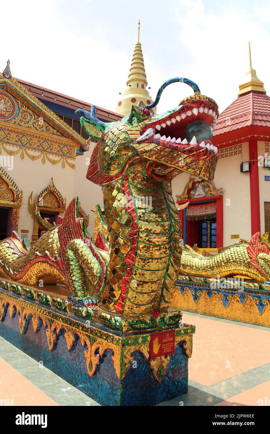 Palau tikus hi-res stock photography and images - Alamy