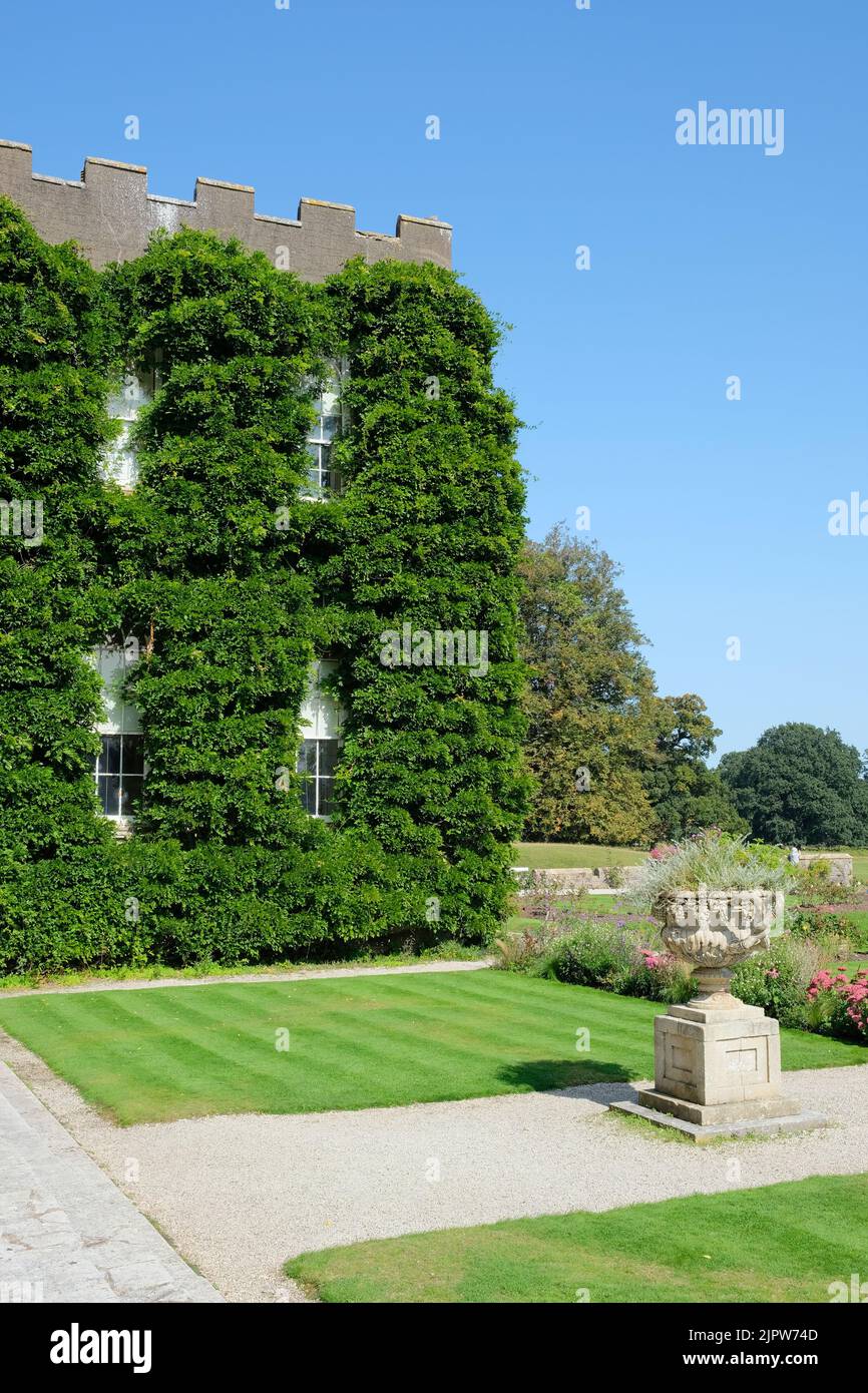 Powderham castle hi-res stock photography and images - Alamy
