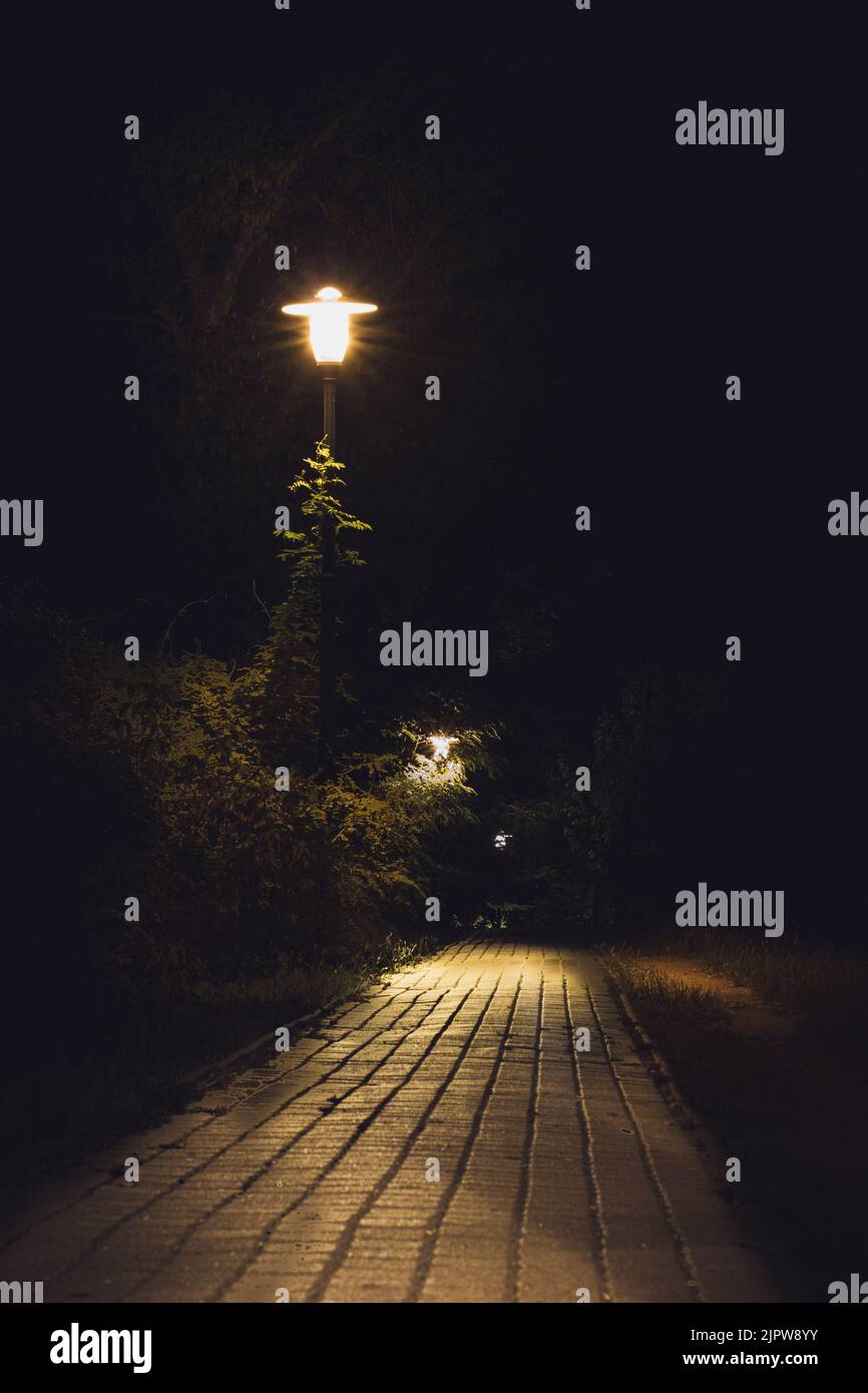 A pavement in a green park at night under the light of an illuminated ...