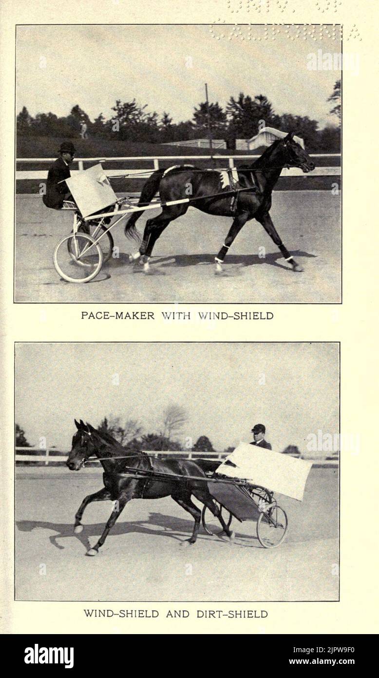 The trotting and the pacing horse in America Stock Photo - Alamy