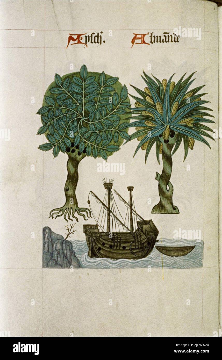 The Tudor pattern book MS. Ashmole 1504 37 Stock Photo - Alamy