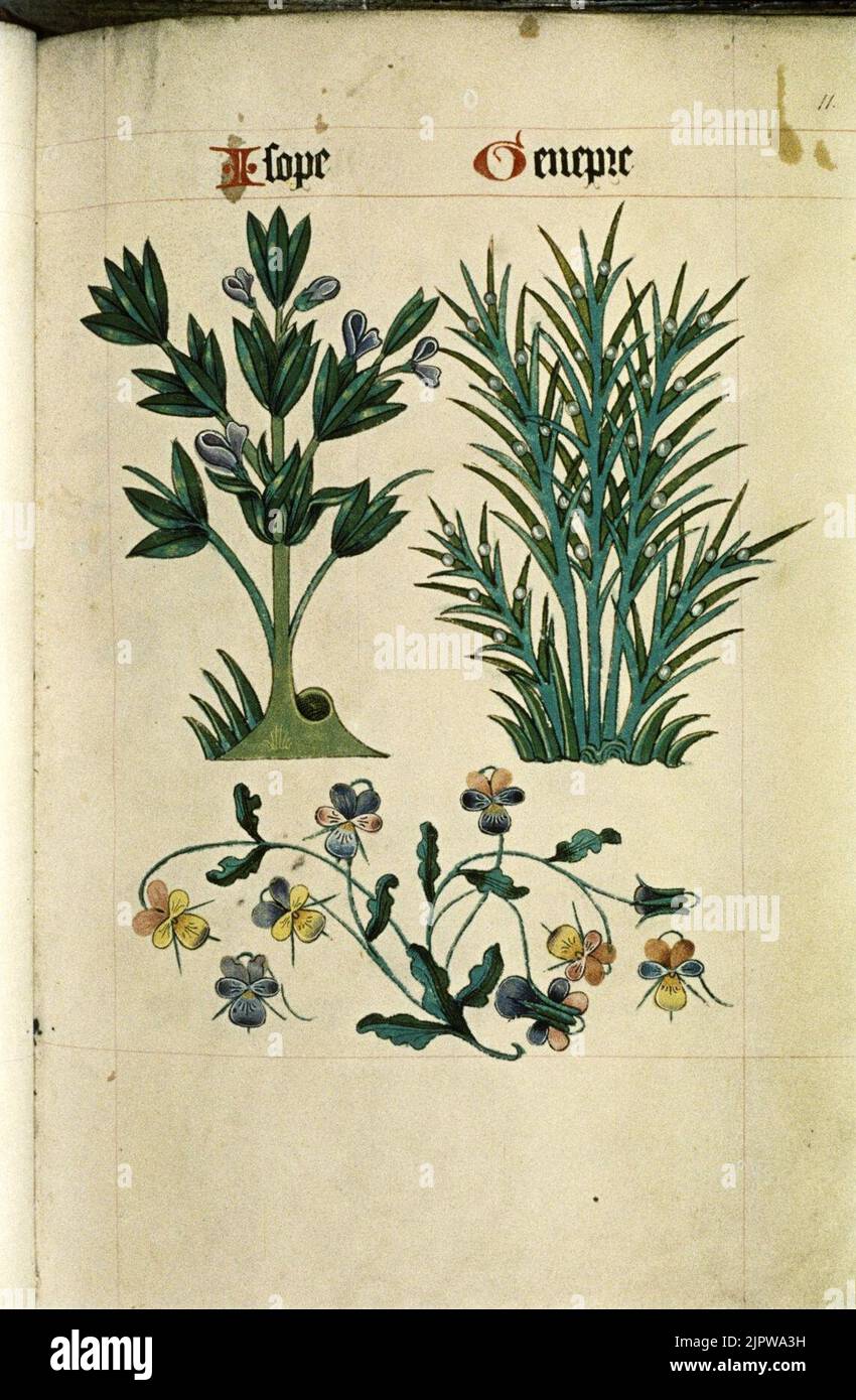 Tudor pattern book hi-res stock photography and images - Alamy