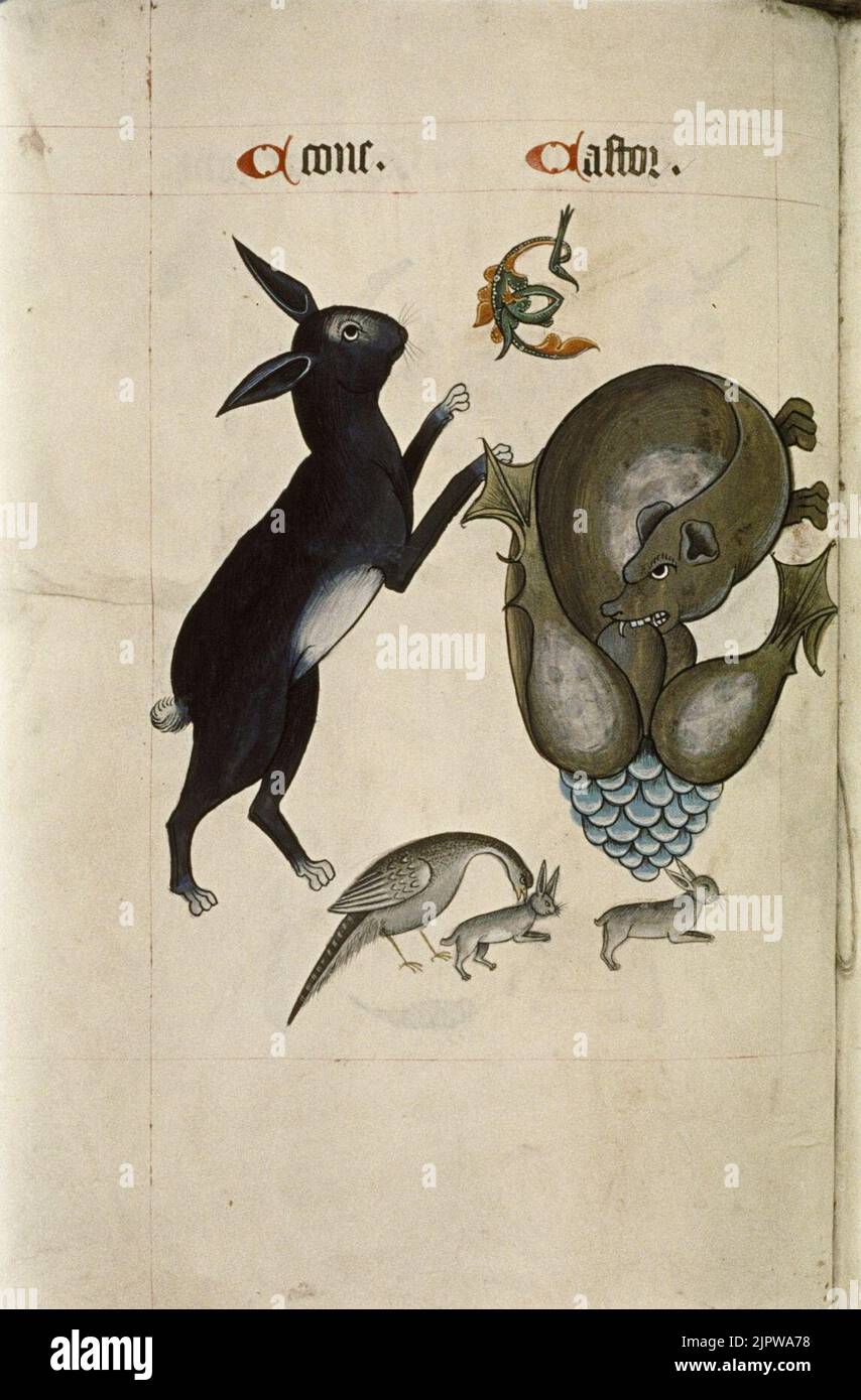 The Tudor pattern book MS. Ashmole 1504 58 Stock Photo - Alamy