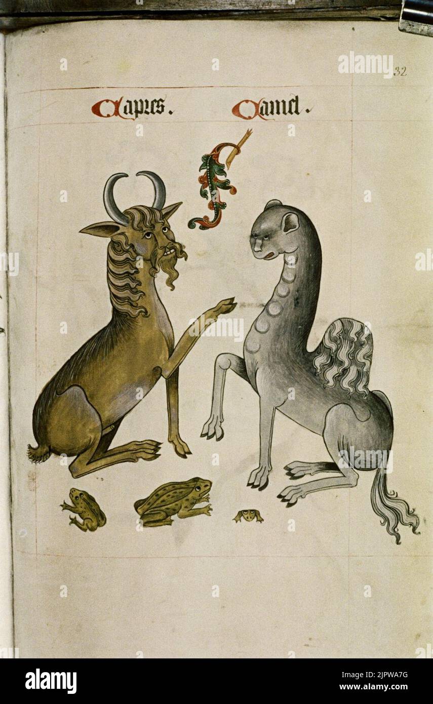 The Tudor pattern book MS. Ashmole 1504 59 Stock Photo - Alamy