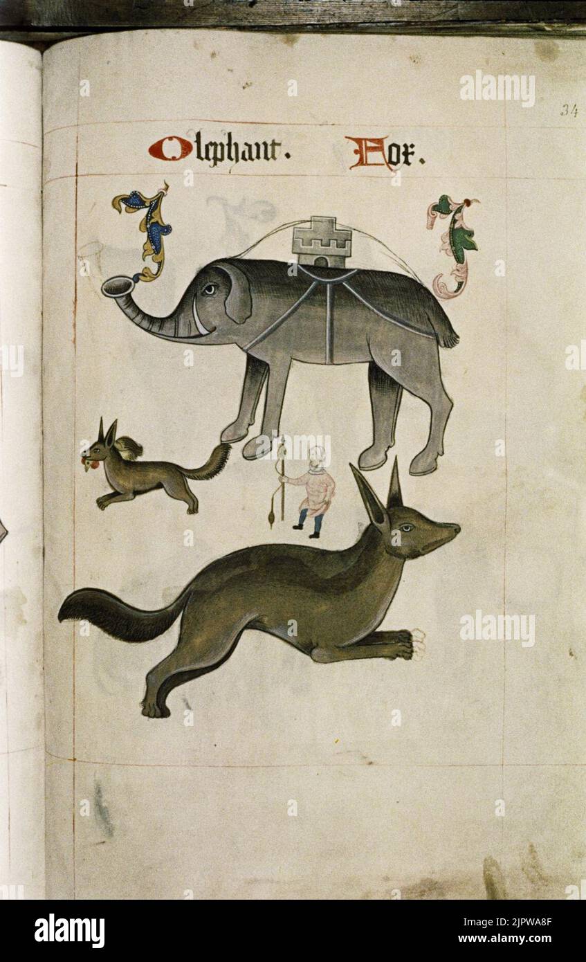 The Tudor pattern book MS. Ashmole 1504 63 Stock Photo - Alamy
