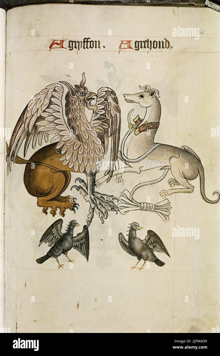 The Tudor pattern book MS. Ashmole 1504 65 Stock Photo - Alamy