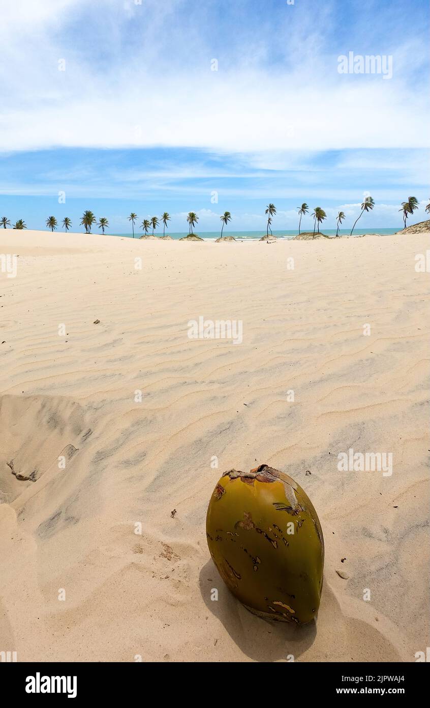 Calor tropical hi-res stock photography and images - Alamy