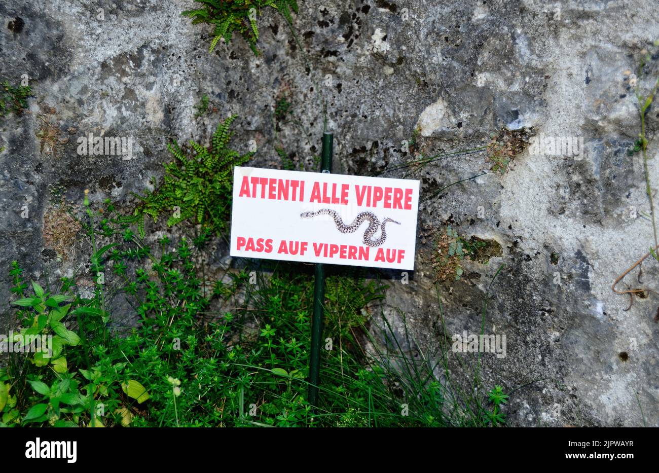 Carnic Alps, Friuli Venezia Giulia, Italy, The sign says beware of ...
