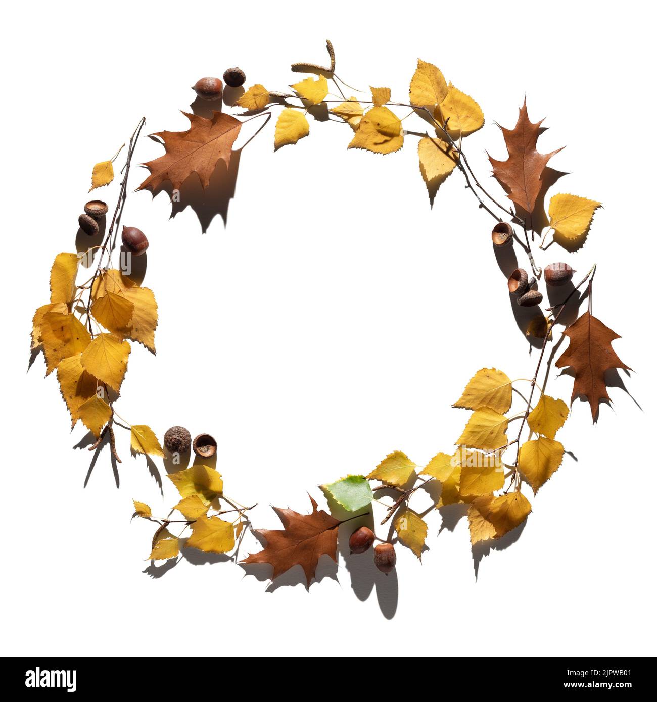 Autumn background with round decorative frame of fallen leaves isolated ...