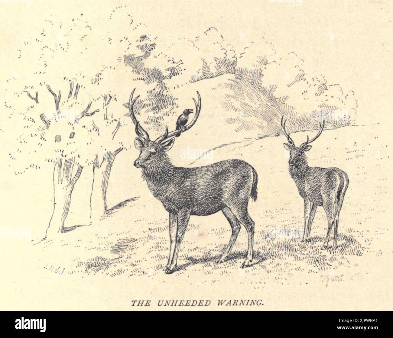 The Unheeded Warning Stock Photo - Alamy