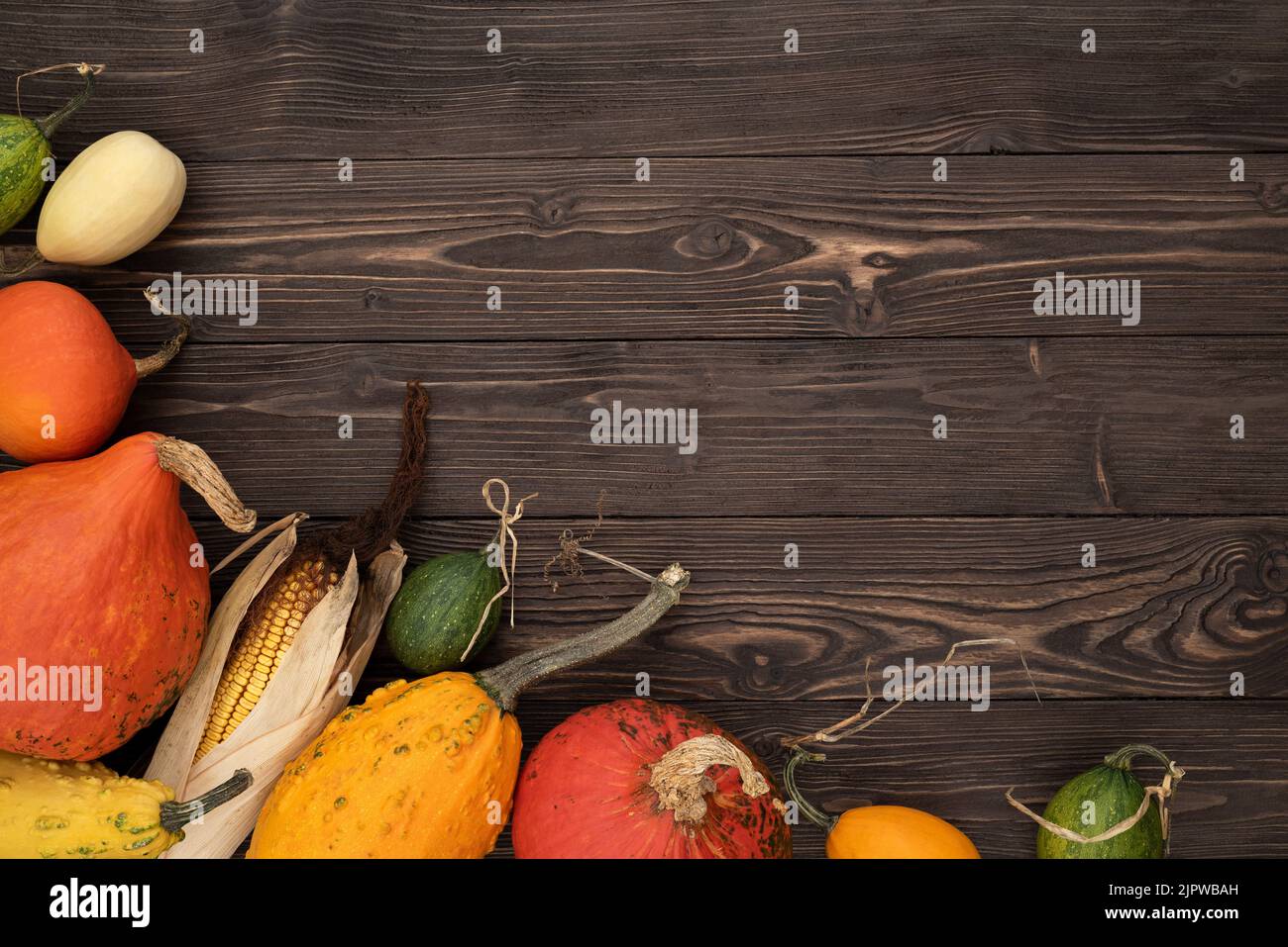 Harvest of winter squash and decorative pumpkins on wooden vintage ...
