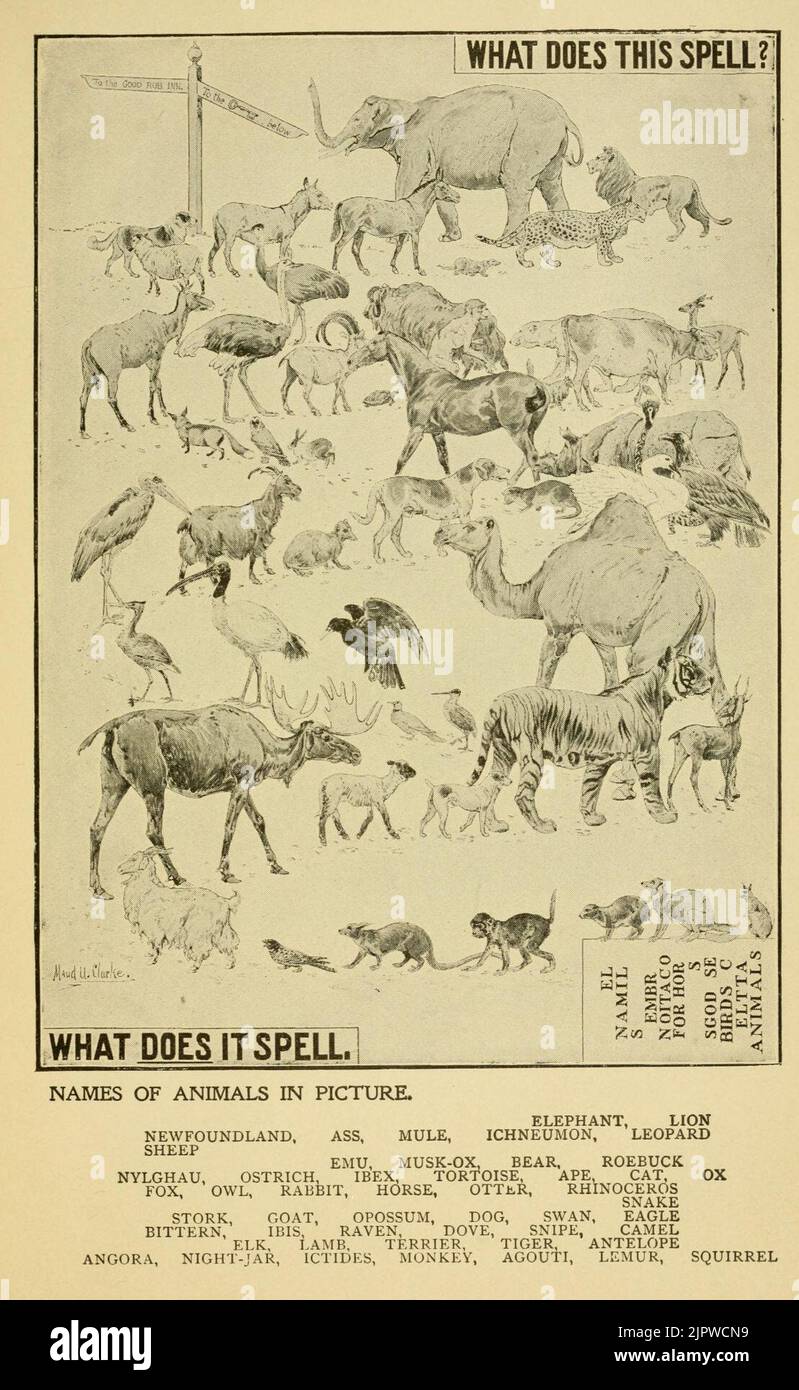 The uses of Elliman's embrocation for horses, dogs, birds, cattle Stock ...