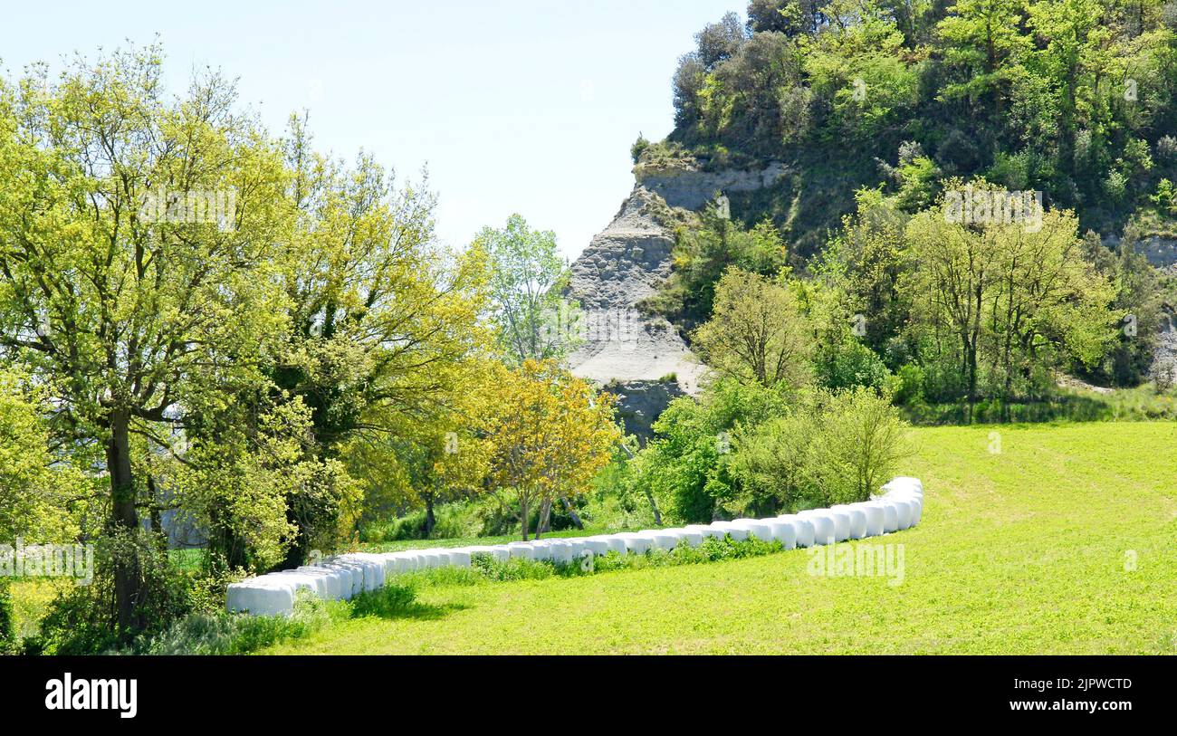 Crop fields with bales of baled straw in Tona, Comarca del Osona ...