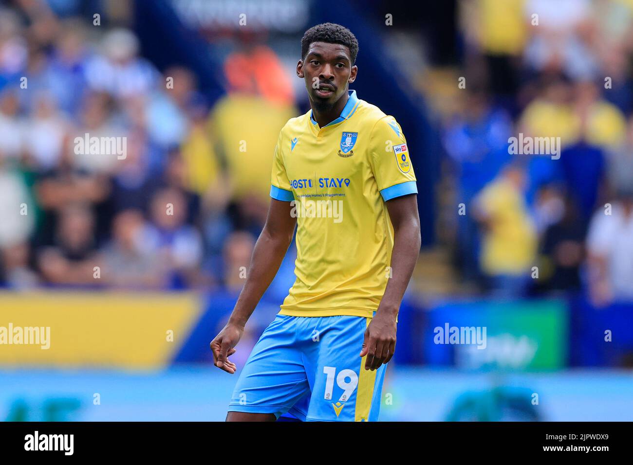 Tyreeq Bakinson #19 of Sheffield Wednesday Stock Photo - Alamy