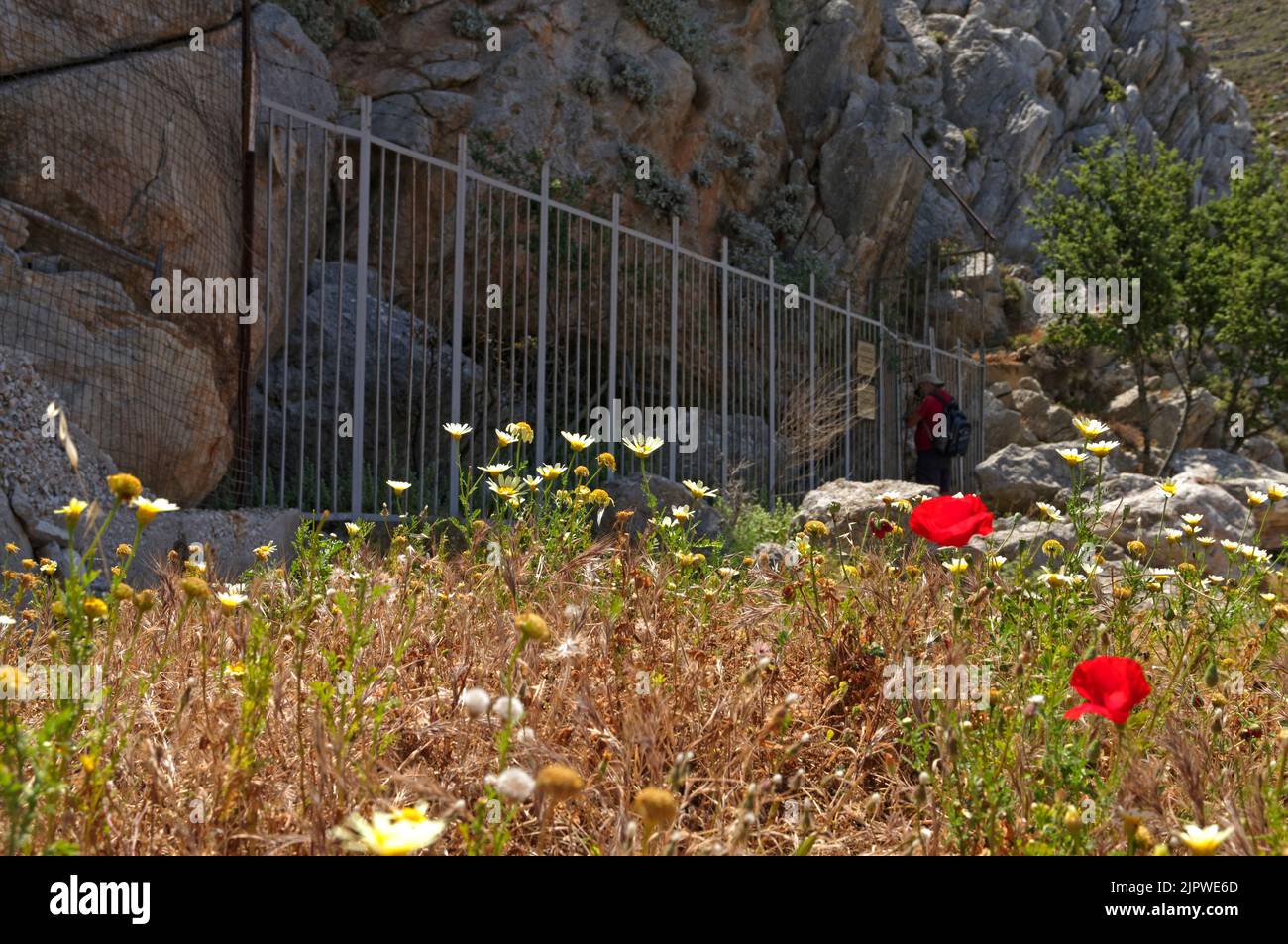 Dwarf elephant cave excavation site gate. Charkadio caves, Tilos, With ...