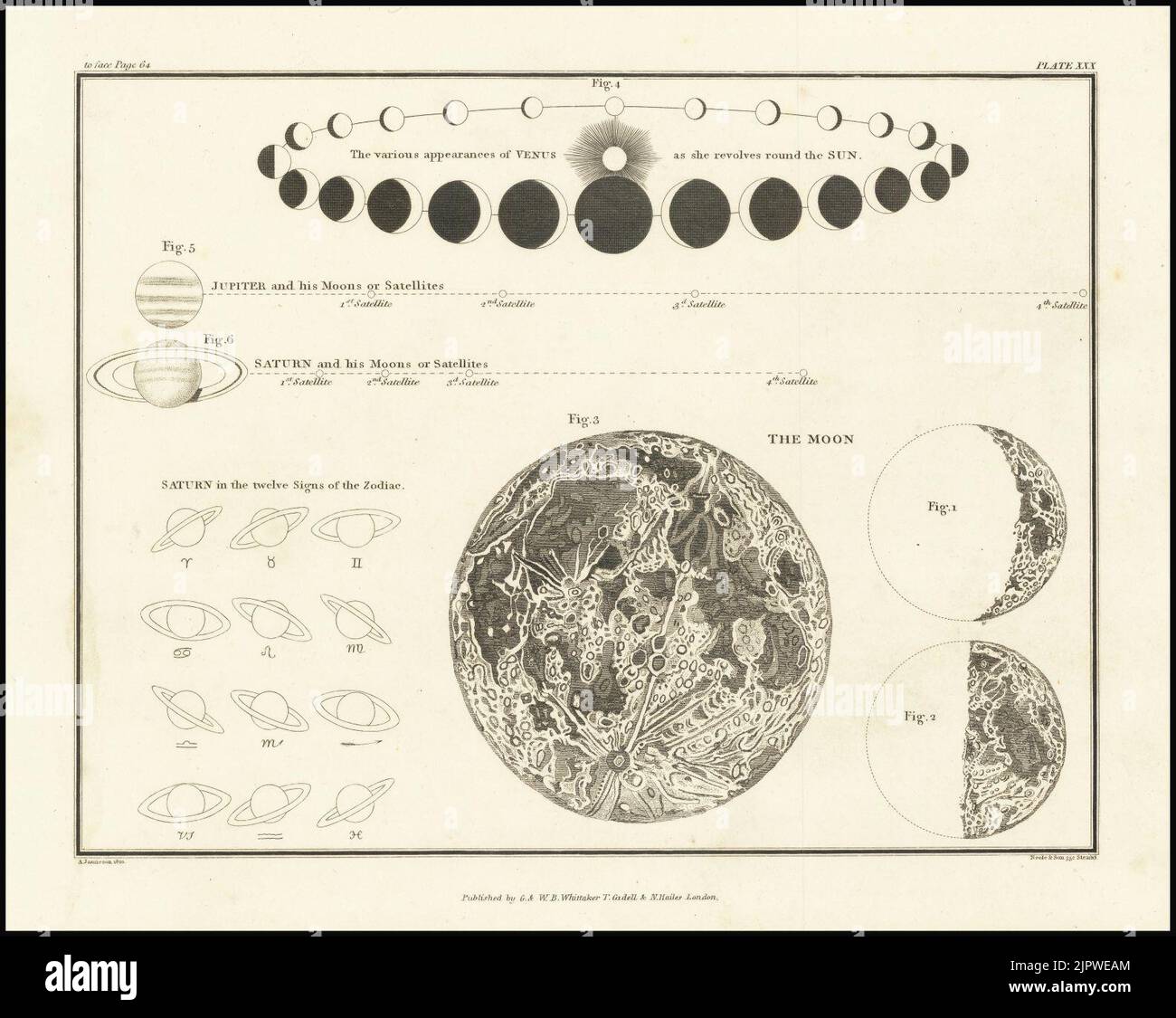 The Various Appearances of Venus as she Revolves Around The Sun (and ...