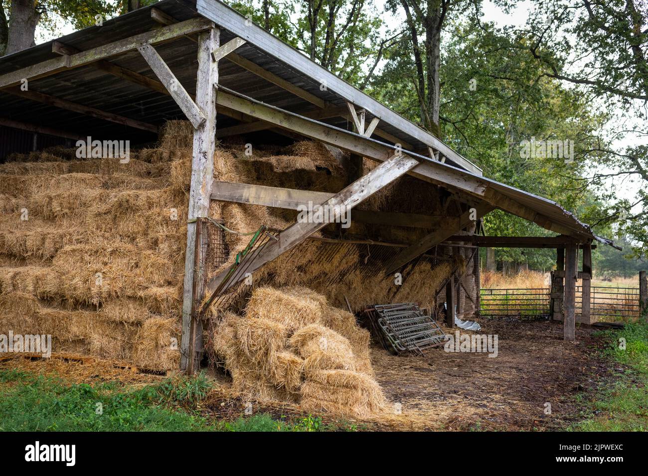 Hay storage shed hi-res stock photography and images - Alamy