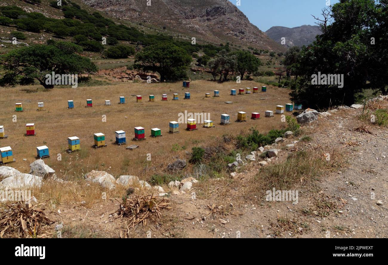 Colourful beehives on the path to Skafi. Tilos, Greece Stock Photo - Alamy