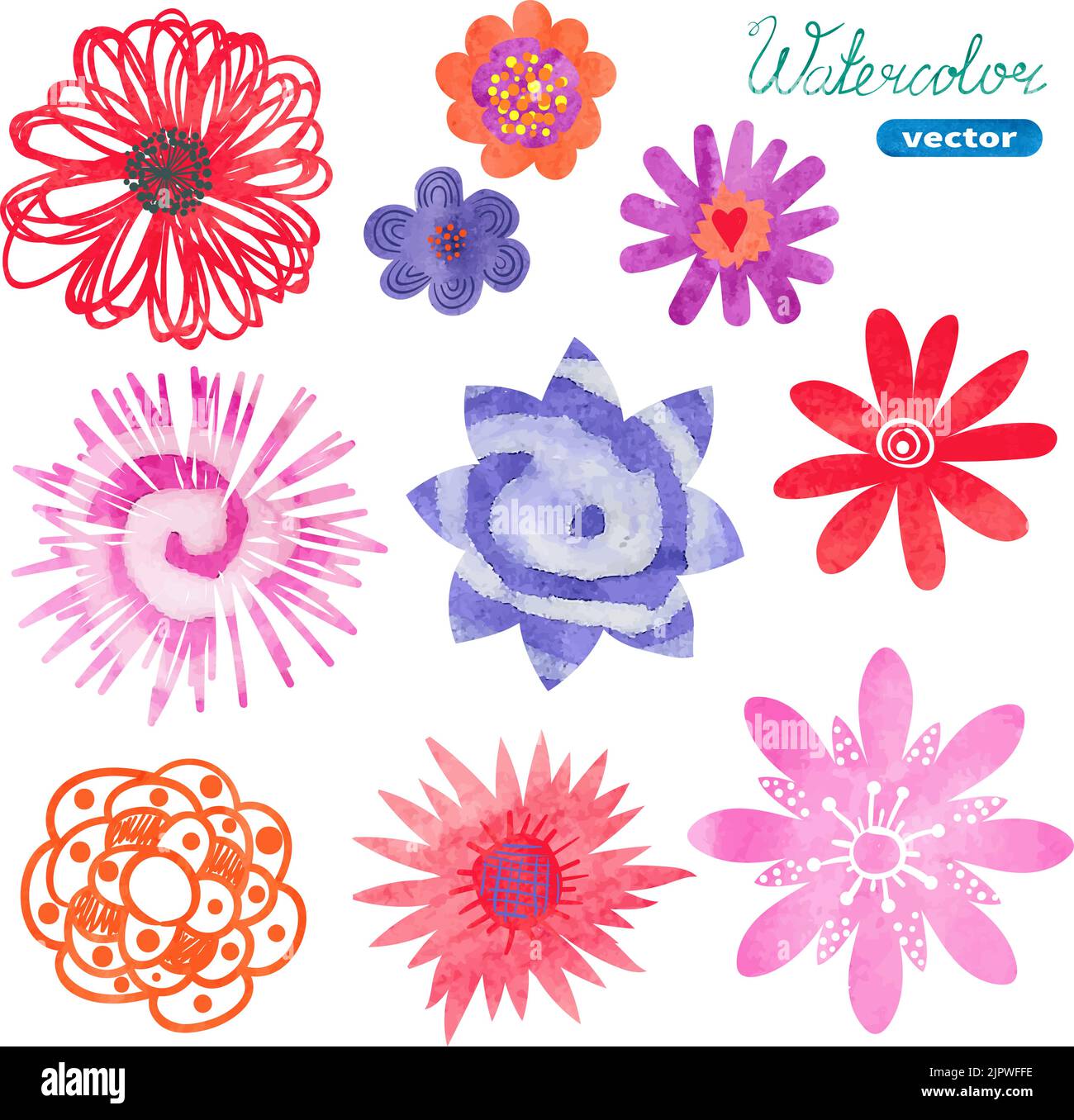 Watercolor flowers set. Colorful floral collection. Vector illustration ...