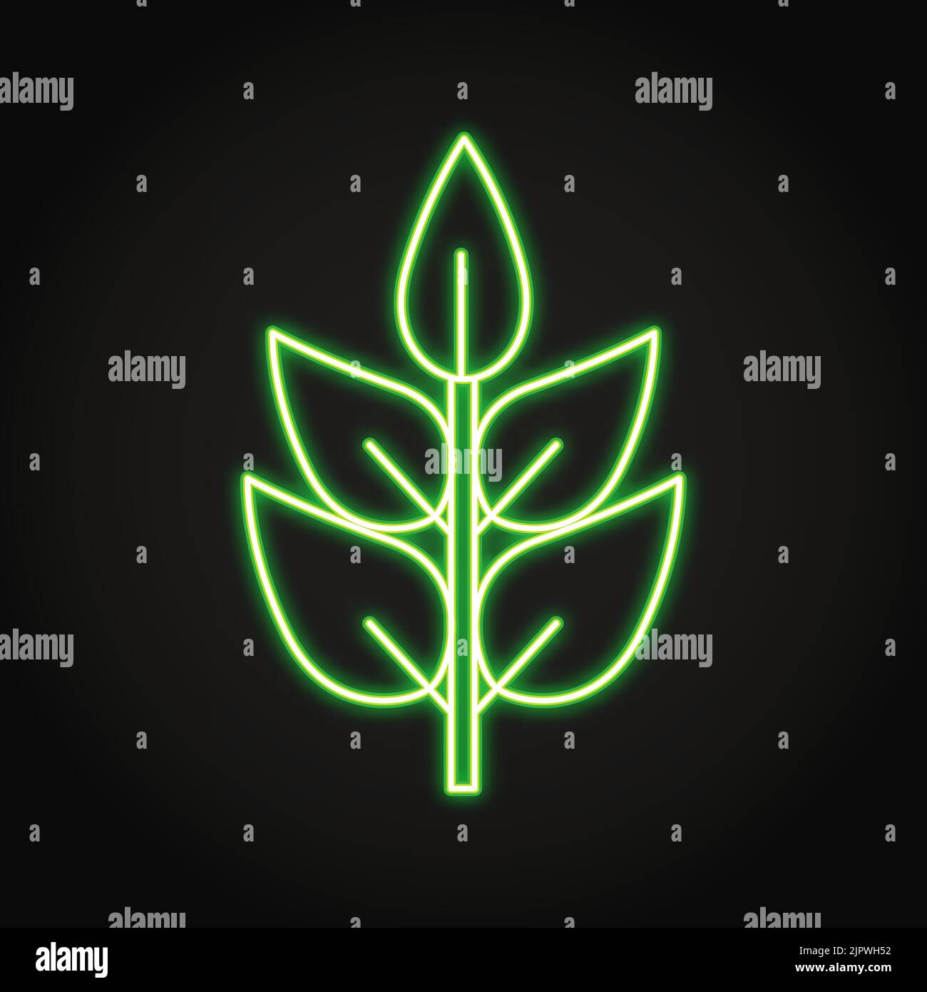 Neon plant branch with leaves icon in line style. Vector illustration ...