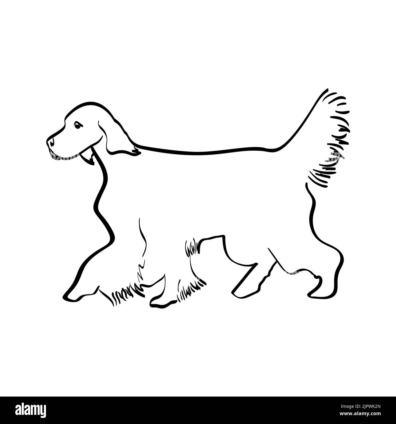 English Setter Puppy Coloring Pages