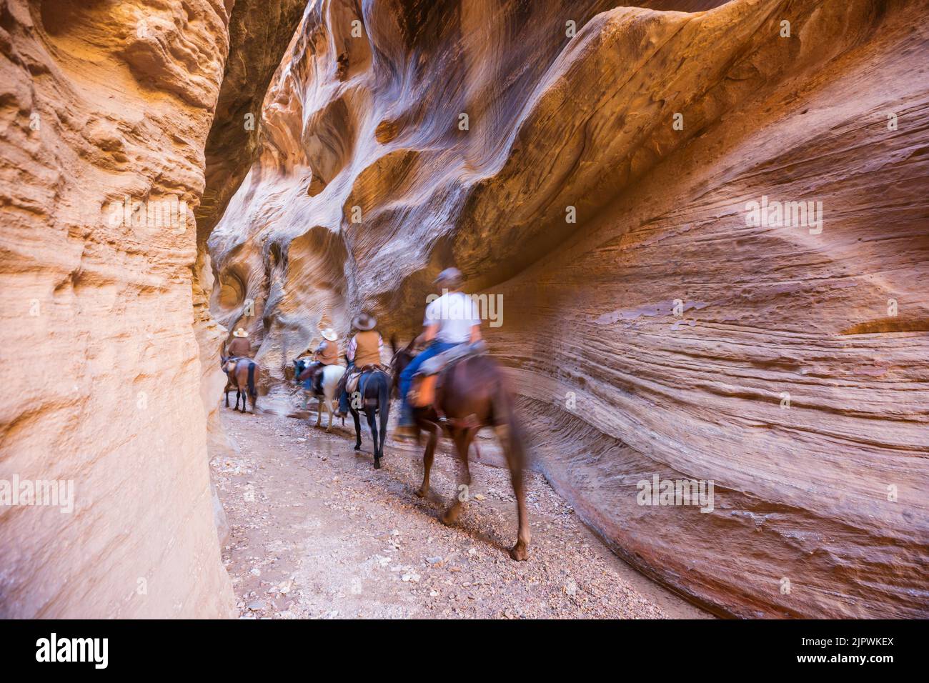 Horse tour in slot canyon in Grand Staircase Escalante National park ...