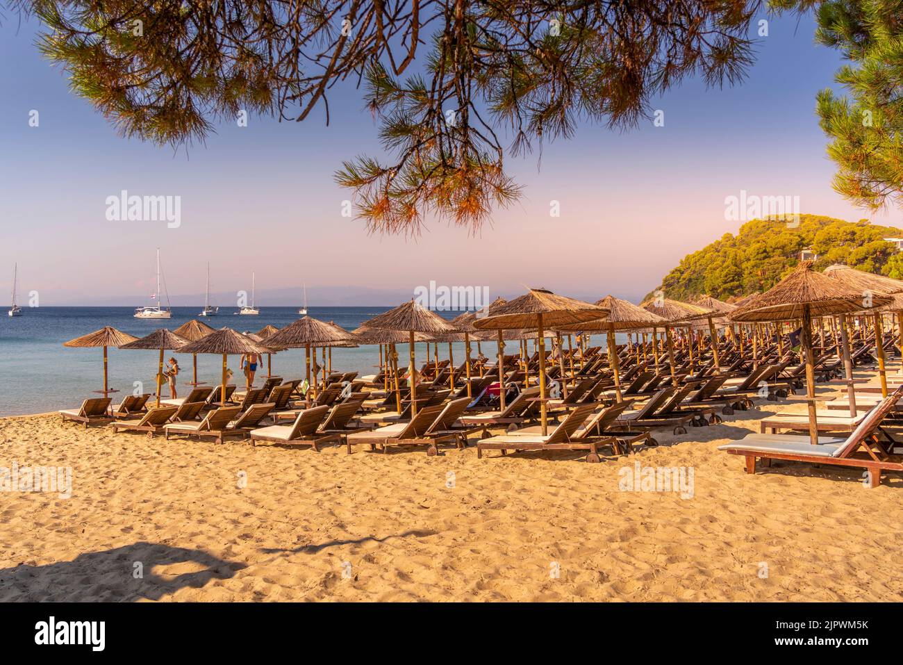 View of Koukounaries Beach at sunrise, Skiathos Town, Skiathos Island, Sporades Islands, Greek ...