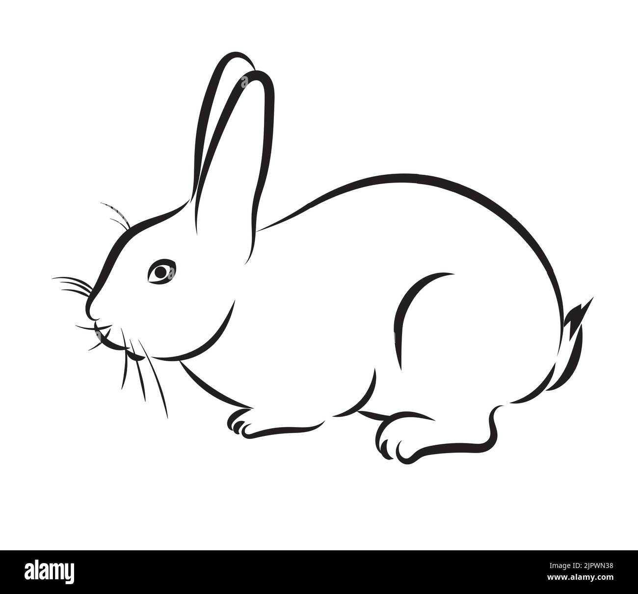 Rabbit or hare icon. vector rabbit sign symbol on white background ...