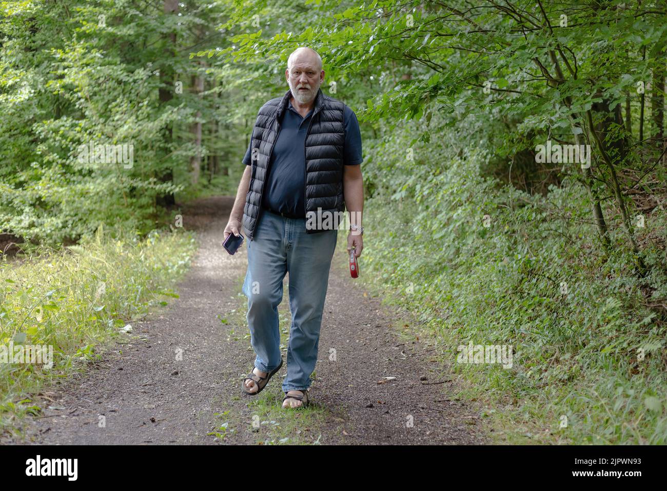 man walking on a forest path Stock Photo - Alamy