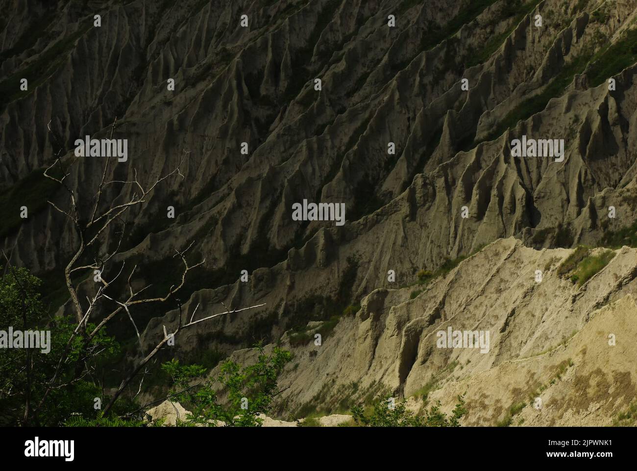 View of the gullies: They are a geomorphological phenomenon of soil ...
