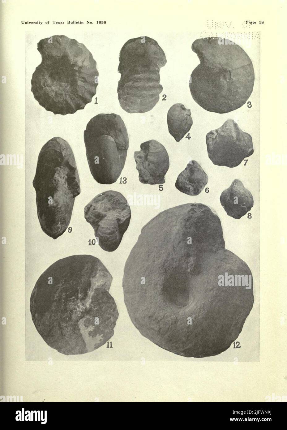 The Weno and Pawpaw formations of the Texas Comanchean Stock Photo - Alamy