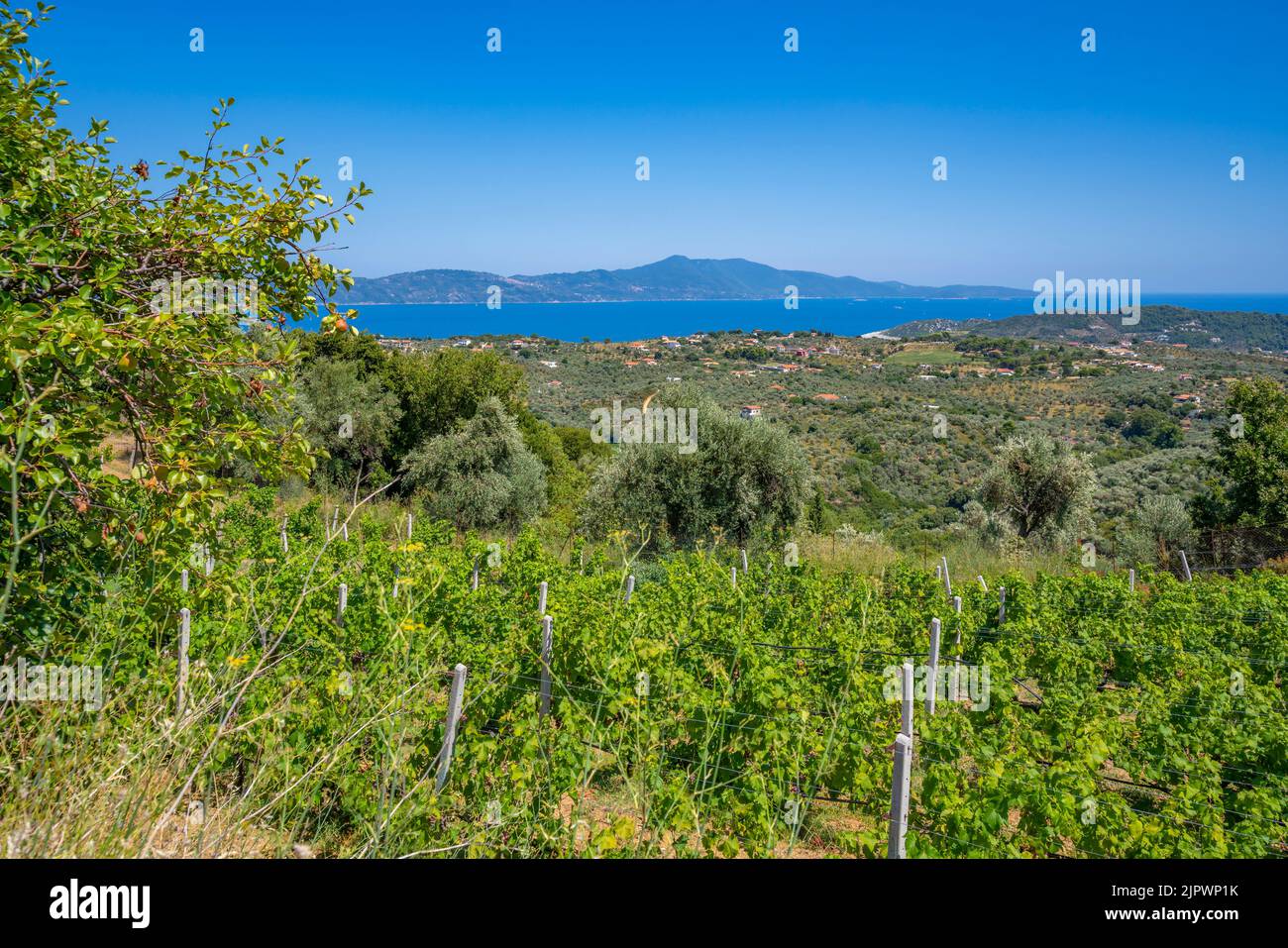 Beautiful greek countryside hi-res stock photography and images - Alamy
