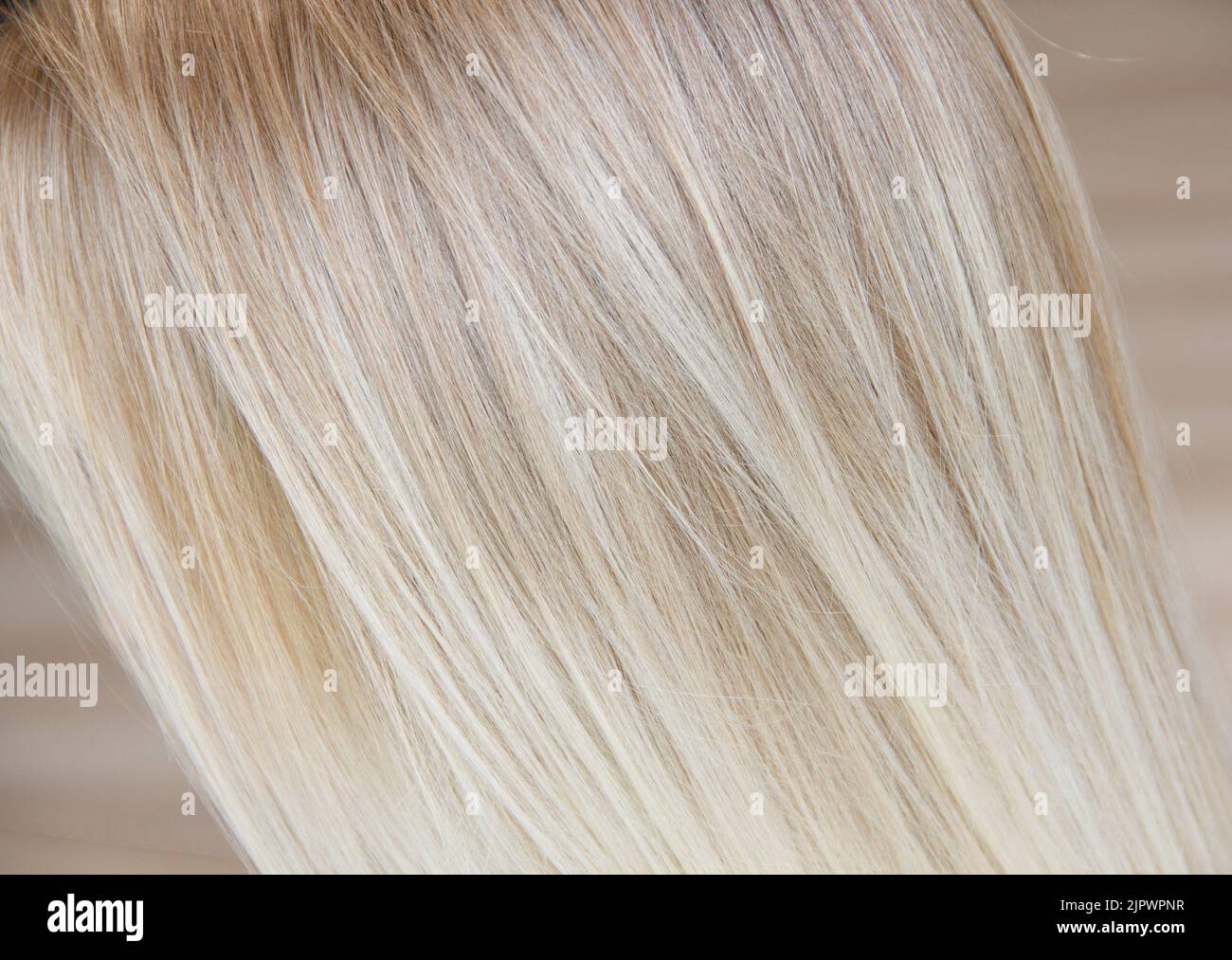 Texture highlighting hi-res stock photography and images - Alamy