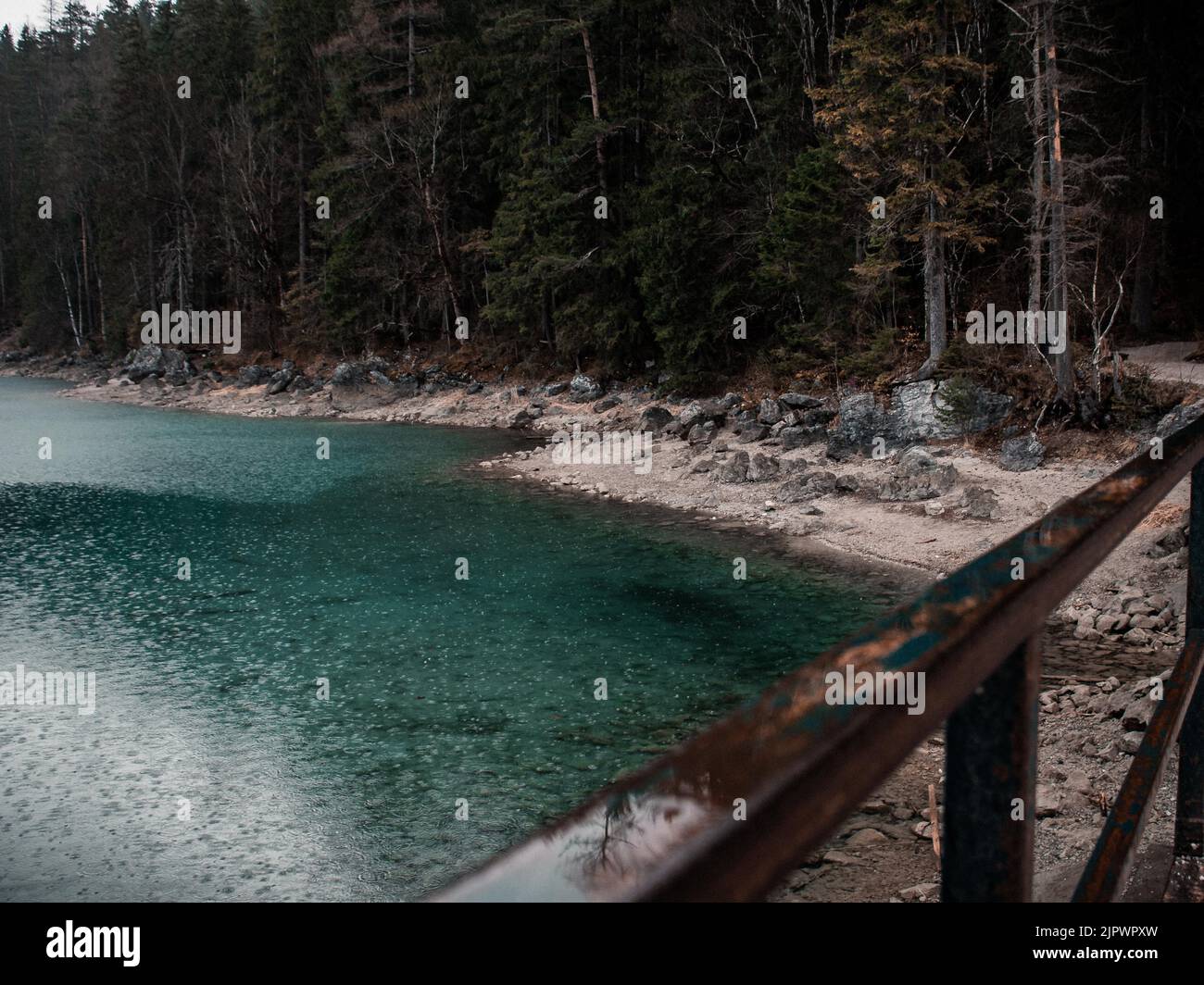 An evergreen forest in the background of a rocky coast of Eibsee lake ...